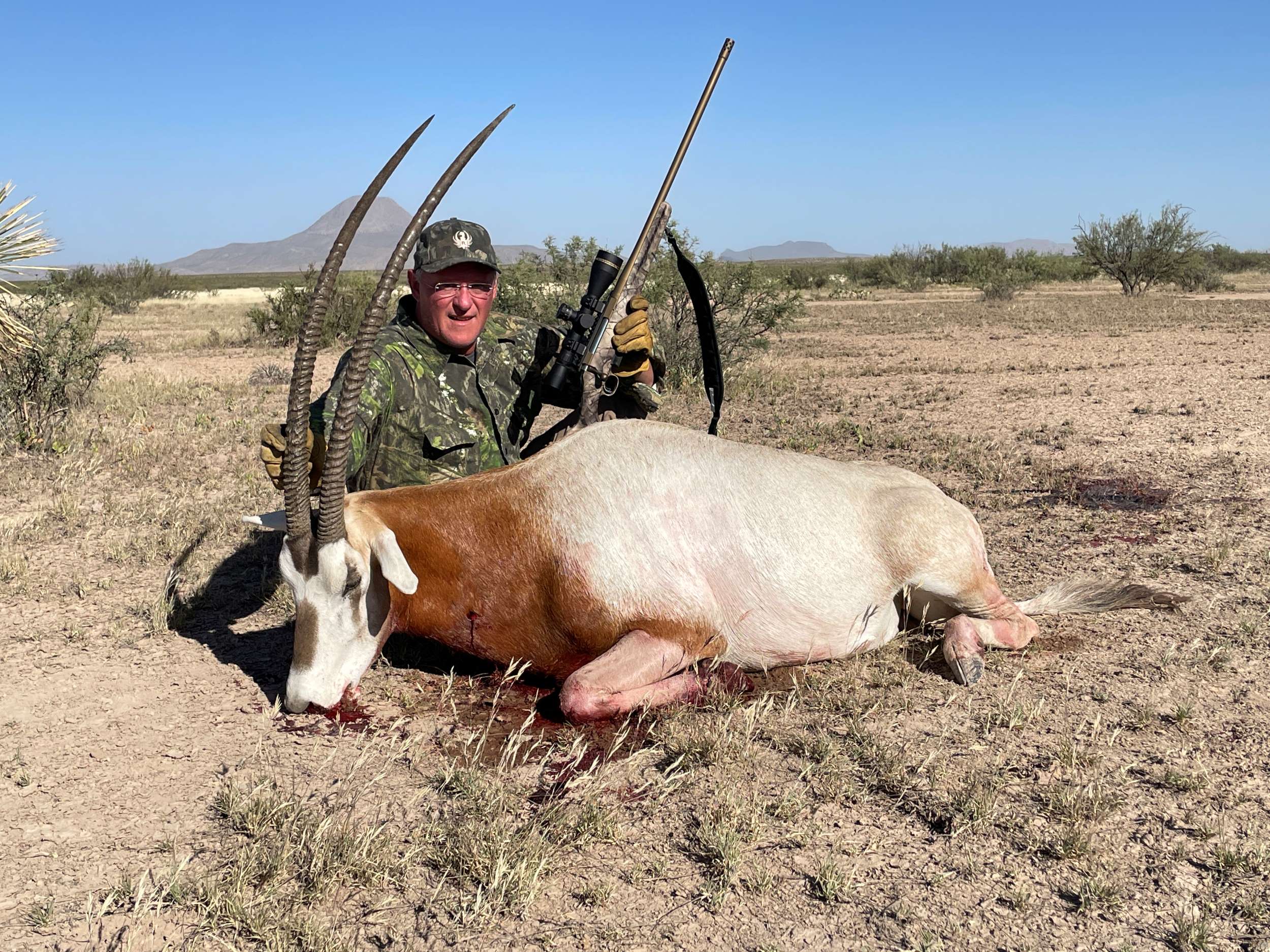 Ruger’s 6.5 PRC American Rifle hammers Texas Scimitar-horned Oryx ...